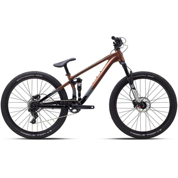 2021 Polygon Trid ZZ DJ Bike NZ Prices - PriceMe
